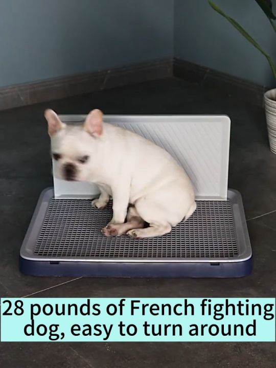 🐕Splashproof and With Stand🐕Potty Trainer for dogs Dog Training Potty ...