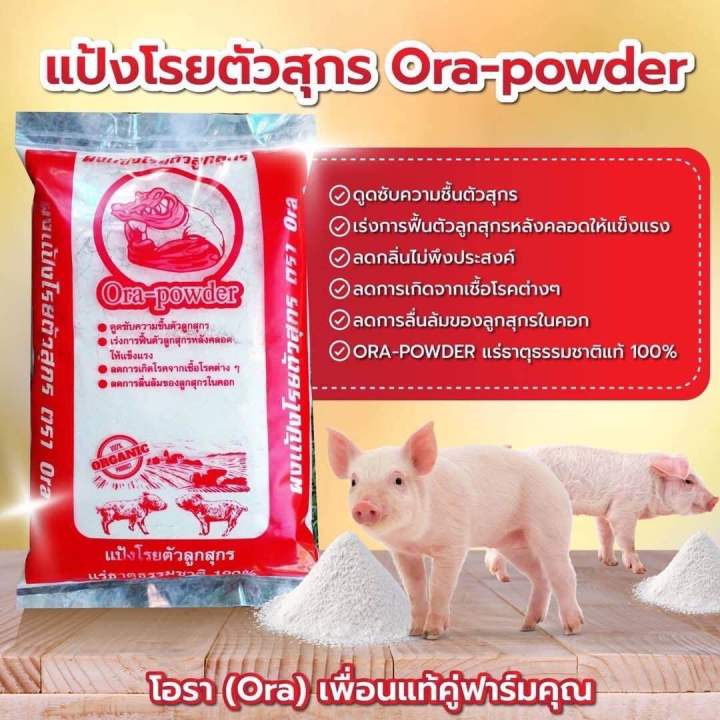 แป้งโรยตัวลูกสุกร โอรา Ora-powder แร่ธาตุจากธรรมชาติ100% เเป้งโรยตัวลูก ...