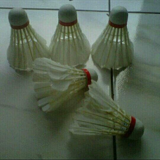 shuttlecocks pemula badminton harga perpcs satuan kok badminton untuk ...