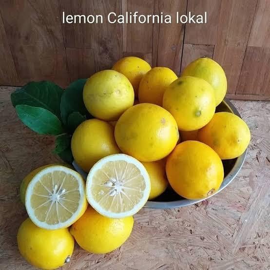 Jeruk Lemon Kualitas Super Lokal Fresh 1kg Murah | Lazada Indonesia