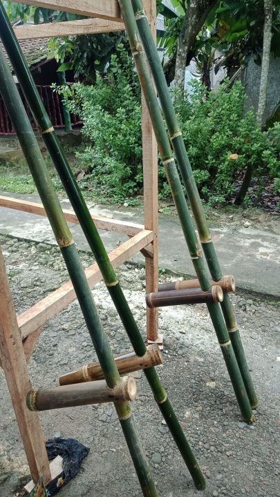 egrang bambu dewasa 160 cm - permainan tradisional jajangkungan buat ...