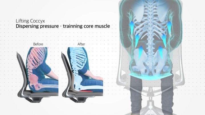 [Curble Chair WIDER] Ergonomic Lower Back Chair Support, Lumbar Support ...