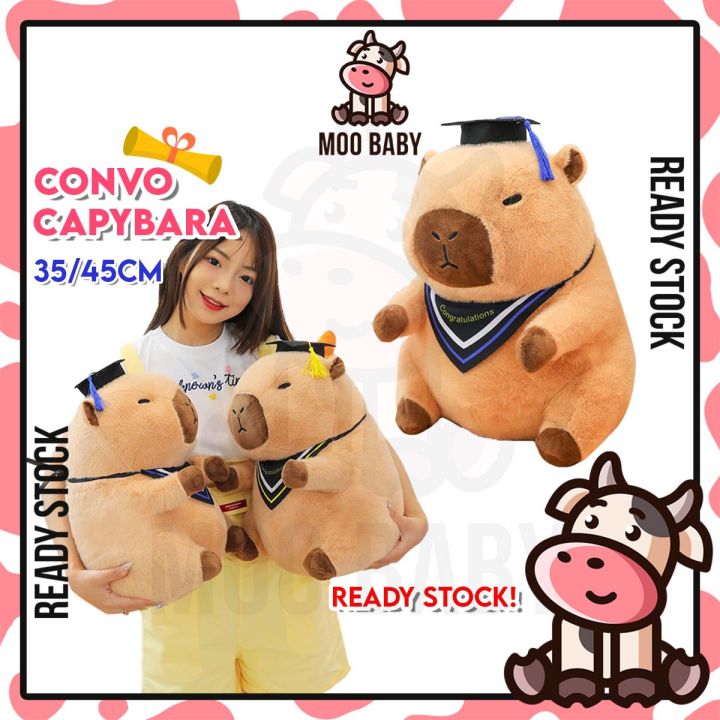 🐮Moo Baby Patung Capybara Graduation Capybara Convo Bear Graduation ...
