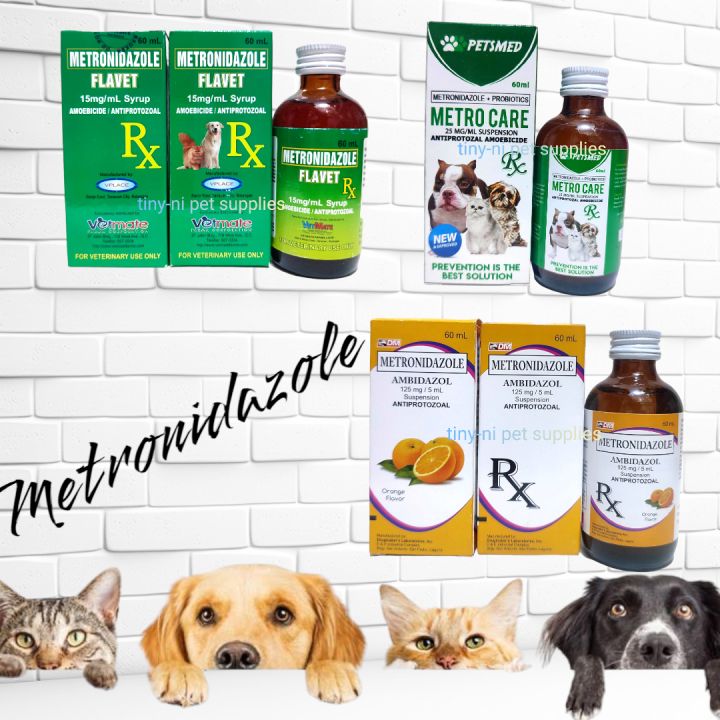 Flavet / MetroCare / Ambidazole Syrup for Pet Dogs and Cats ...