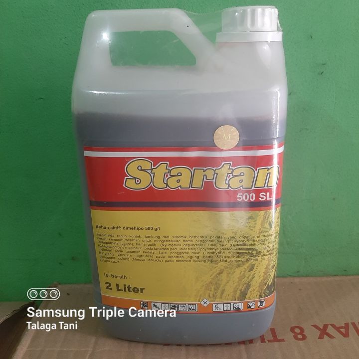 STARTAN 500 SL mengatasi ulat penggerek batang dan wereng pada tanaman ...