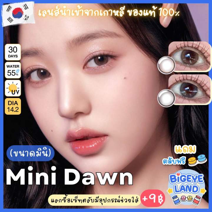 รุ่นวอนยอง IVE ⭐️ คอนแทคเลนส์ Mini Dawn Brown / Gray (Kitty Kawaii ...