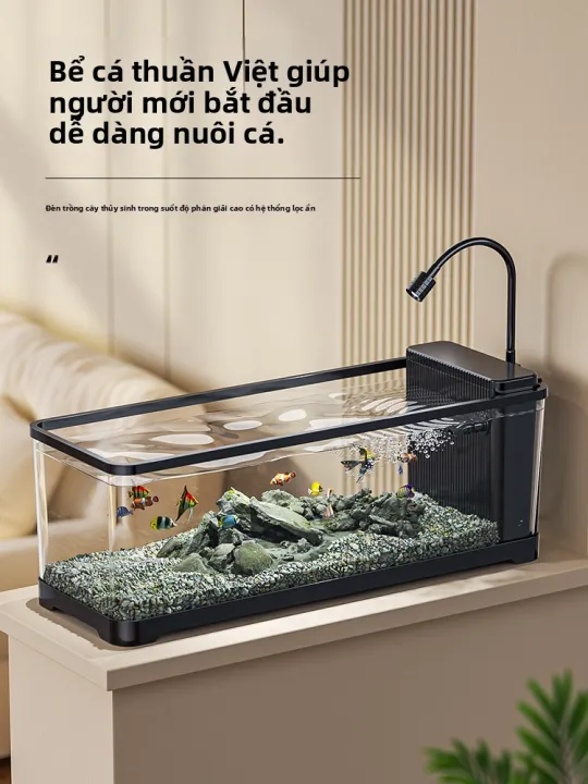 HUICHONG | Bể Cá Có Hệ Thống Lọc và Cung Cấp Oxy Tích Hợp Eco-Scene Bộ ...