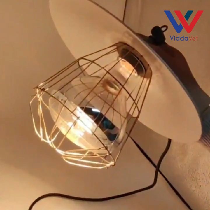 Heat bulb reptile Brooder bulb 25 watts Brooder bulb Bulb for brooder ...