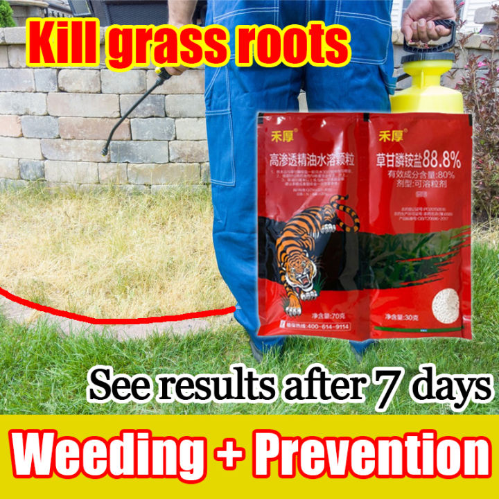 🍂Thorough Weeding🍂 PP Weed and grass killer Herbicide for grass and ...