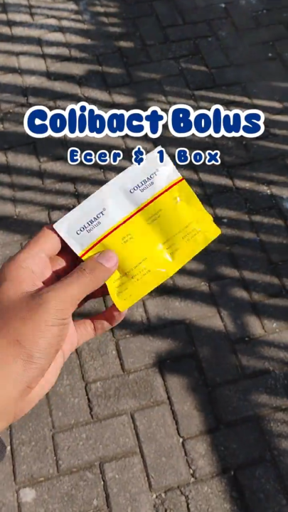 COLIBACT BOLUS 1 BOLUS - Obat Hewan Antibakteri Pencernaan Diare ...