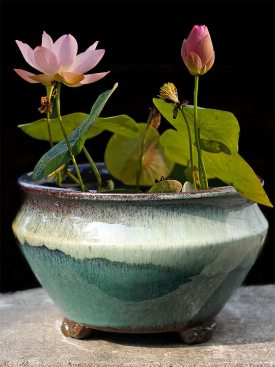 Large Size No Hole Ceramic Bowl Lotus Flower Pot One Leaf Lotus Tank ...