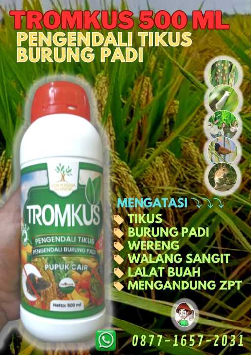 TROMKUS Pestisida Organik Pengendali Tikus dan Burung Padi | Lazada ...