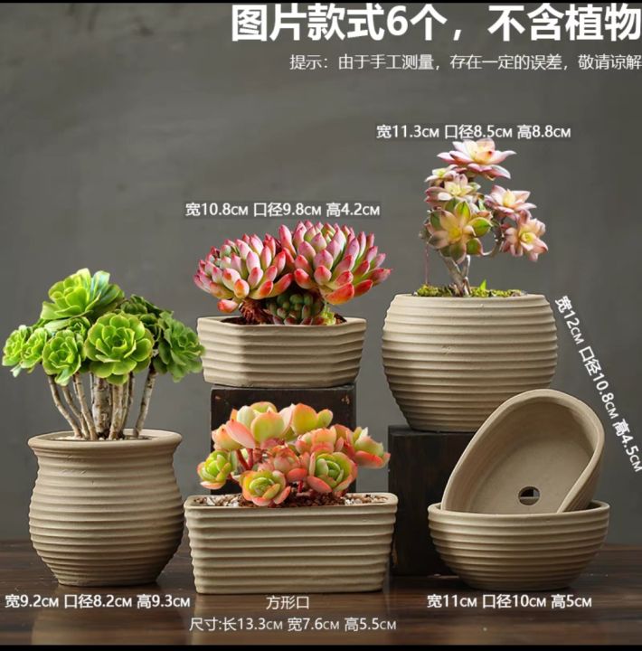 Ready stock ‼️ Ceramic Succulent Pot Set 6pcs | Lazada