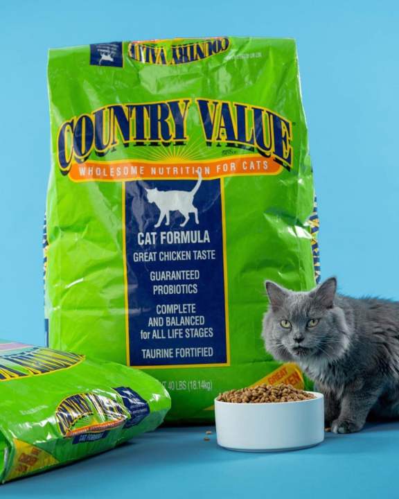 Country Value Kitten and Adult Cat Food packed per 250g/500g/1kg ...