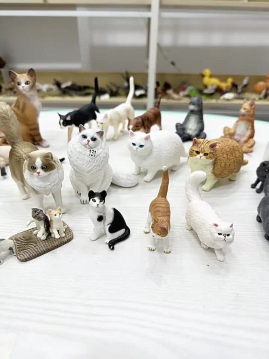 Model Kucing Binatang Pelihara Binatang Simulasi Kanak-Kanak Kanada ...