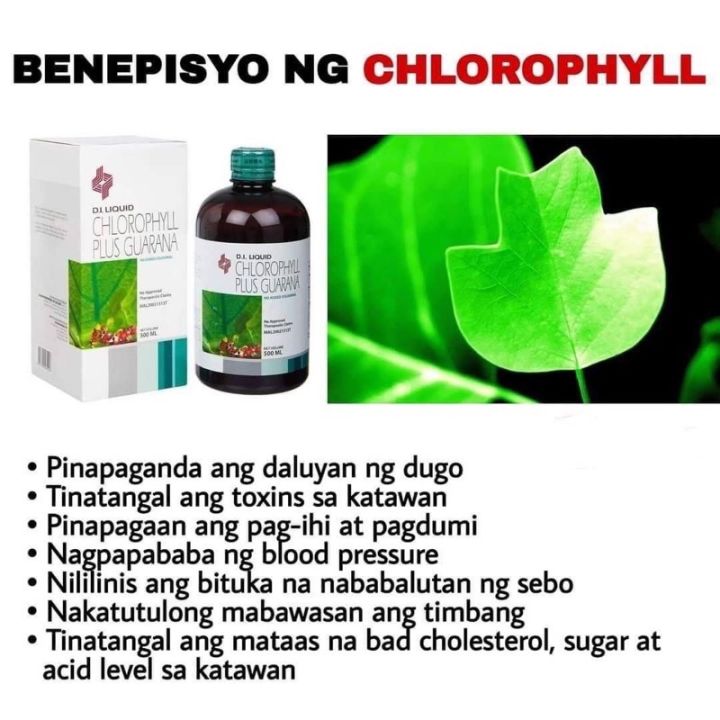 CHLOROPHYLL PLUS GUARANA 500ml | Lazada PH