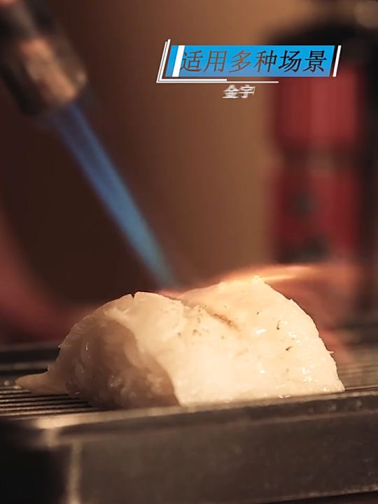 Newly Improved Torch Gun Heavy Duty Gas Butane Burner Outdoor Fire ...