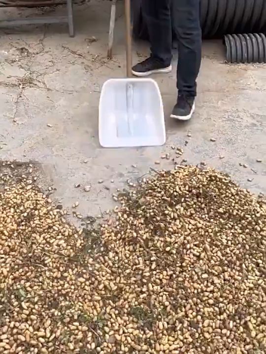 agricultural scraper scraping planting shovel head iron manure rake ...