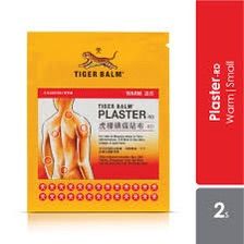 TIGER BALM Medicated Plaster Warm Small 2s Plasters | Lazada