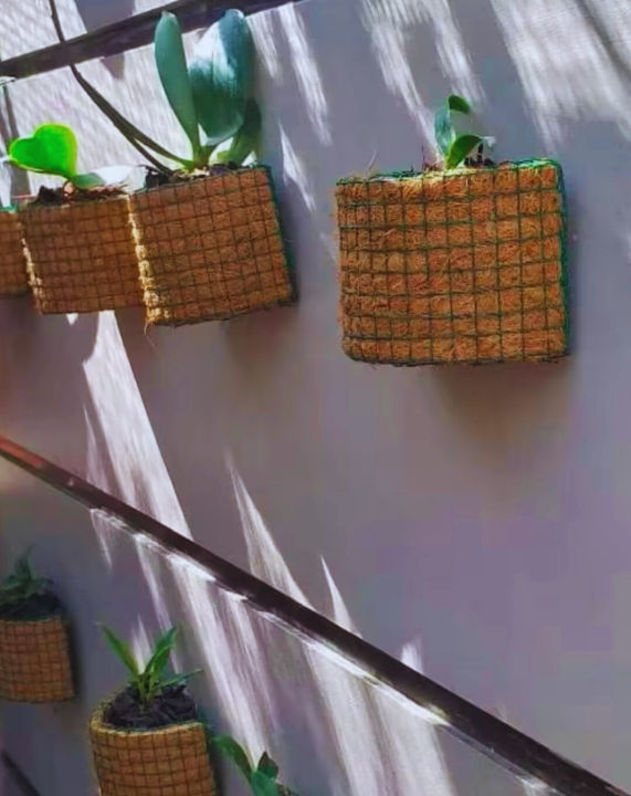 Pot bunga sabut kelapa tempel dinding | Lazada Indonesia