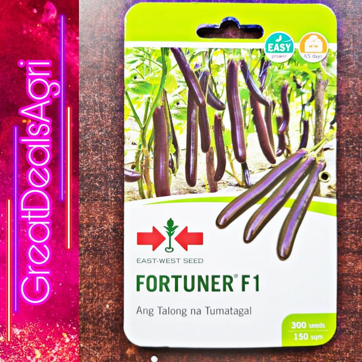 FORTUNER F1 (300 SEEDS) HYBRID EGGPLANT SEEDS BY EAST WEST SEEDS ...
