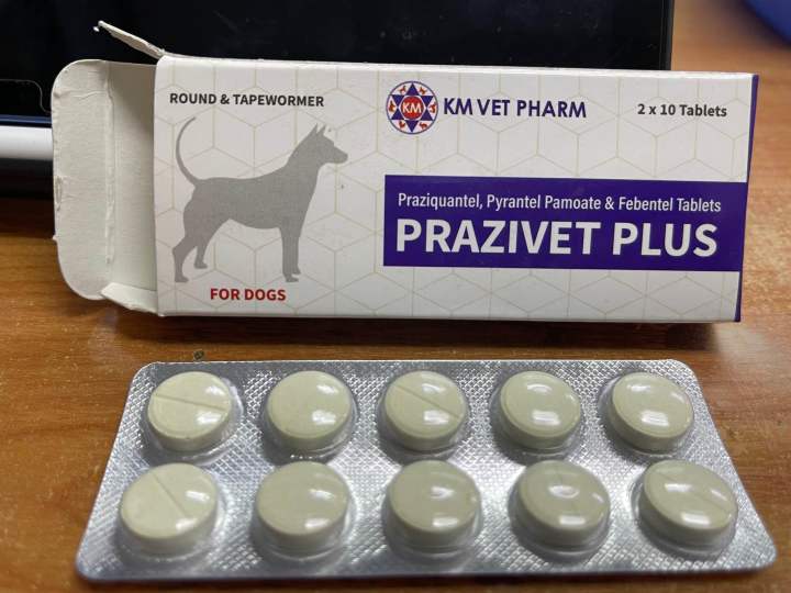 PRAZIVET PLUS DOGS DEWORMING TABLET each tablet Rm4.50 | Lazada