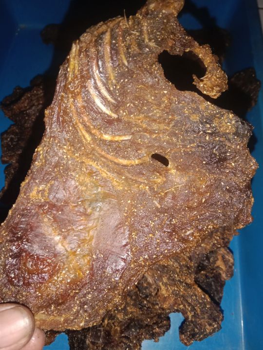 Daging dendeng kera obat segaja jenis penyakit kulit. 100gram.(BELUM ...