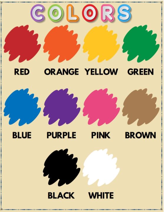 Educational Chart Laminated A4 Size | Lazada PH
