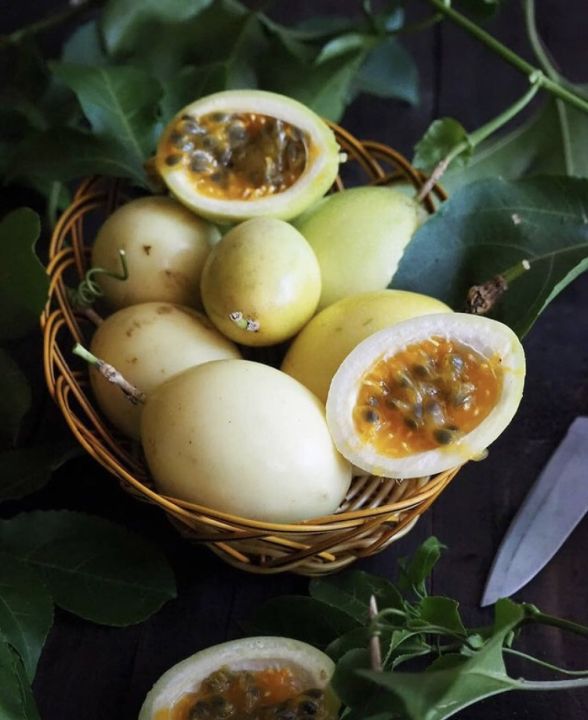 MARKISA ASAM MANIS 1/2 KG | Lazada Indonesia