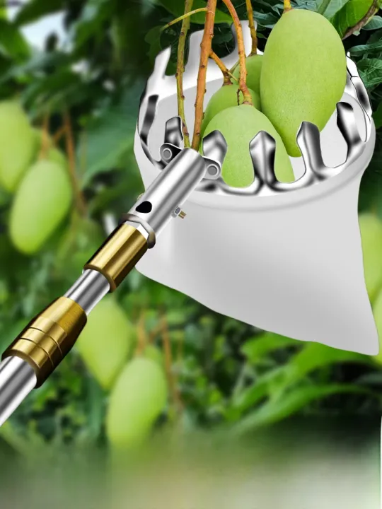 10 Meter Retractable Pole Fruit Harvesting Tool for High Altitude Pears ...