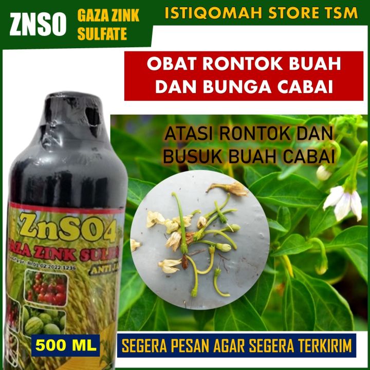 Atasi Rontok Bunga dan Buah Cabai dengan Pupuk Organik ZNSO4 Zink ...