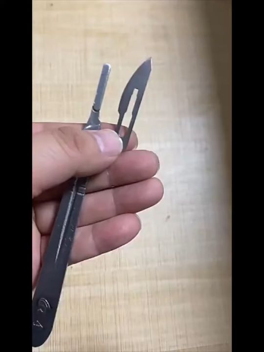 2 IN 1 Piglet Castration Kit 10Pcs Surgical Scalpel Blades with Handle+Piglet Tail Cutter Pig ...