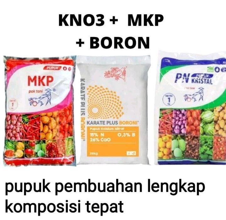 Pupuk Pembuahan Lengkap Untuk Tanaman Agar Berbuah Lebat Lazada