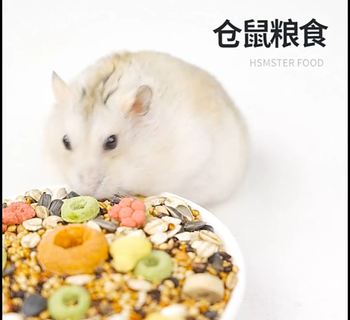Hamster Food Seafood Multigrain Hamster Food 1LB /450g Premium Mixed ...