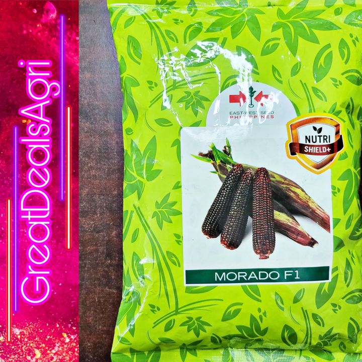 MORADO F1 HYBRID WAXY CORN SEEDS (KILO) EAST WEST SEEDS | Lazada PH