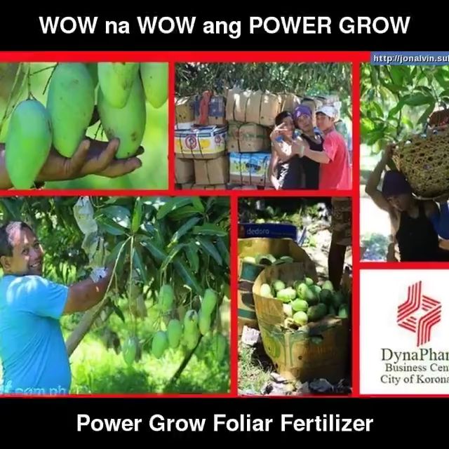 DLS Power Grow Organic Foliar Plant Food (SPECIAL COMBO) 1 Liter Red ...