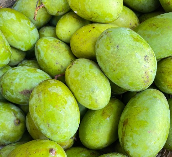 1kg mangga kweni | Lazada Indonesia