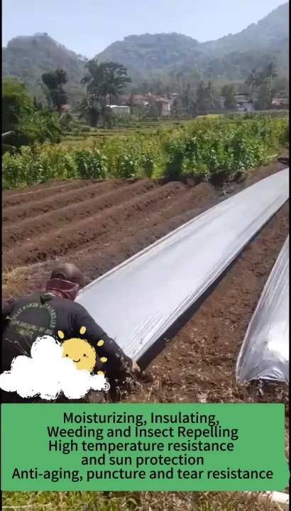 {40 Microns} Plastic Mulch Film for agriculture 4ft x 400m 1.2m x 400m ...