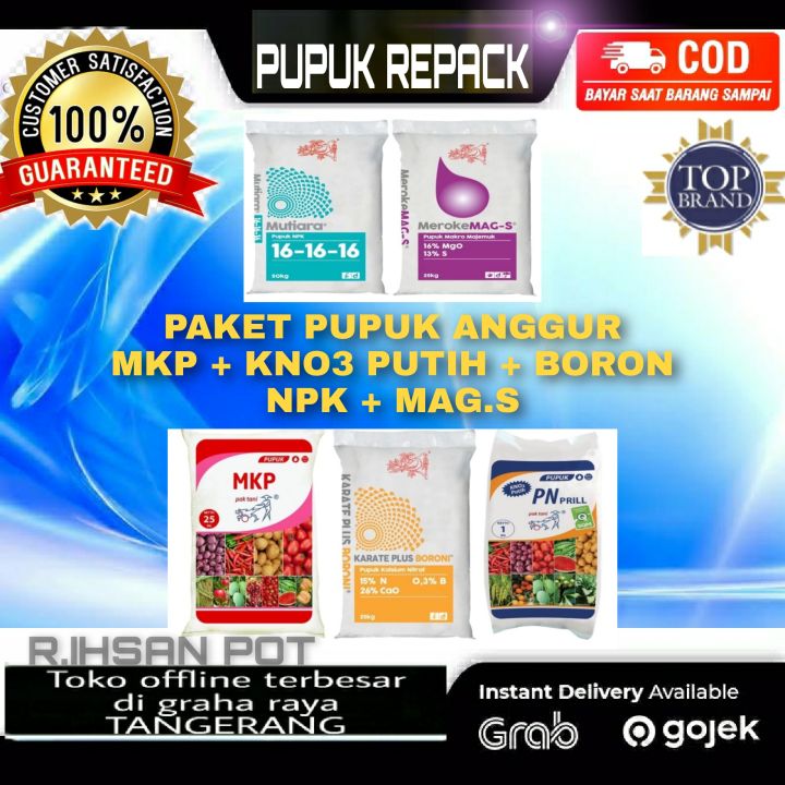 5 Paket Pupuk Anggur Lengkap Npk Mag.S Mkp Kno3 Boron | Lazada Indonesia