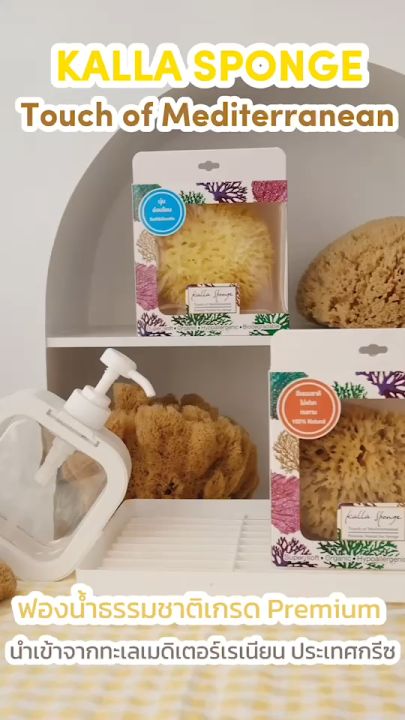 KALLA SPONGE ฟองน้ำธรรมชาติ ชนิด Honeycomb สีน้ำตาล สำหรับอาบน้ำ (กรุณาระบุว่าใช้กับเด็กทารก ...