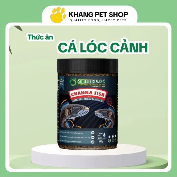 Thức ăn CÁ LÓC CẢNH - Channa Fish | Lazada.vn