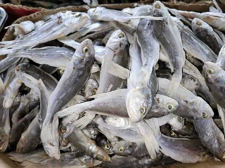 Pagotpot Dried fish from Bicol | Lazada PH