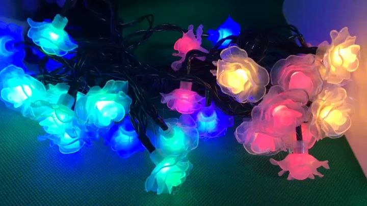 Flower Lantern Rose Flower String Lights Battery, Plug, Solar Powered ...