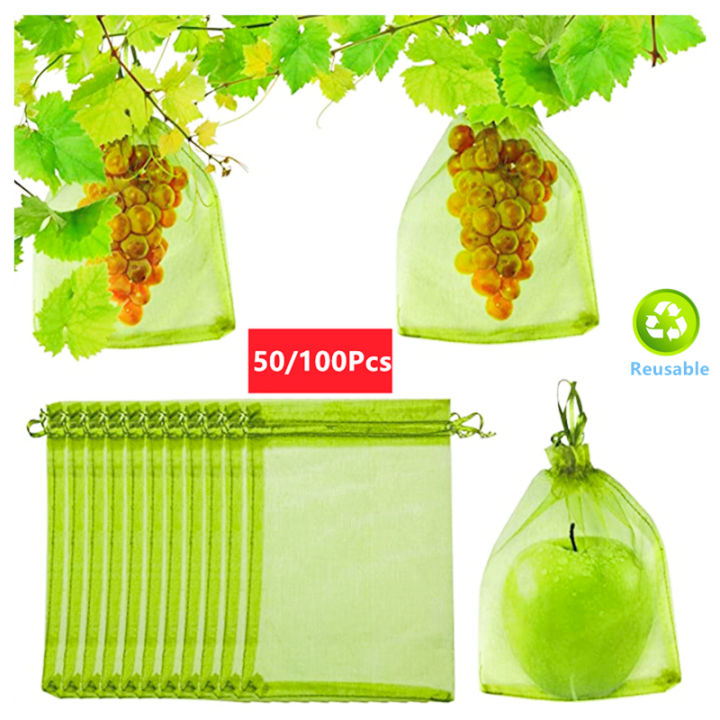 50/100Pcs Fruit Protection Netting Bags with Drawstring Reusable Grape ...