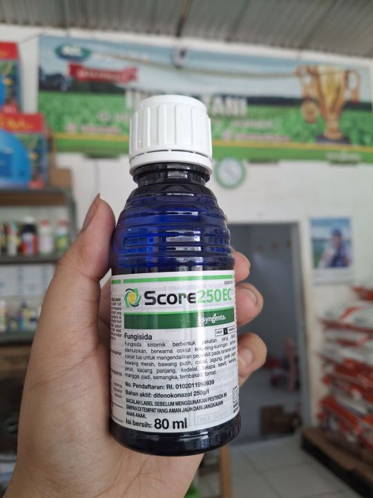 Fungisida Score 250 EC - 80ml untuk Mengendalikan Penyakit pada ...