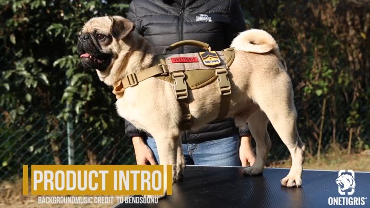 OneTigris เสื้อรัดอกสุนัข BEAST MOJO Small K9 Harness ชุดฝึกสุนัข ชุด ...