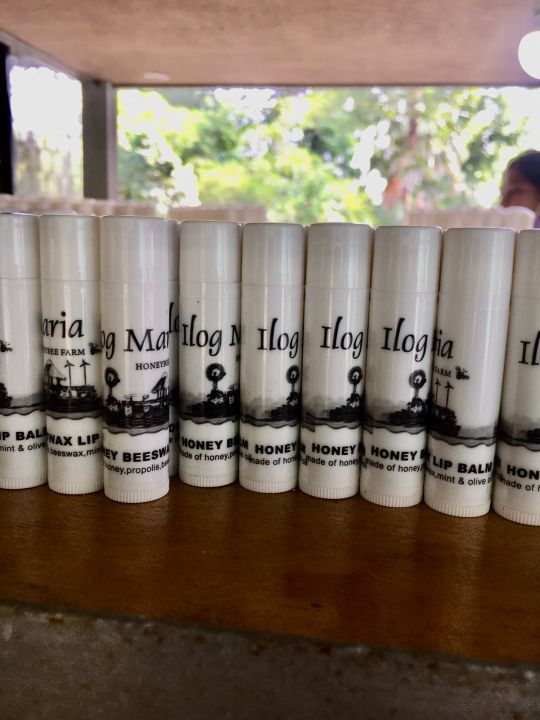 ILOG MARIA honeymint beeswax lipbalm(stick) | Lazada PH