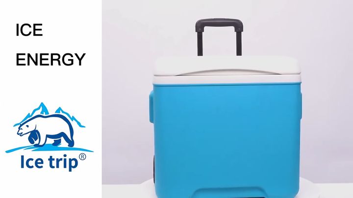 Outdoor Ice Box Cooler Chest Icebox Insulated 6L - 22L for Camping ...