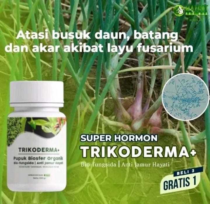 Produk Trichoderma isi 250 ml dengan manfaat mempercepat perkecambahan ...