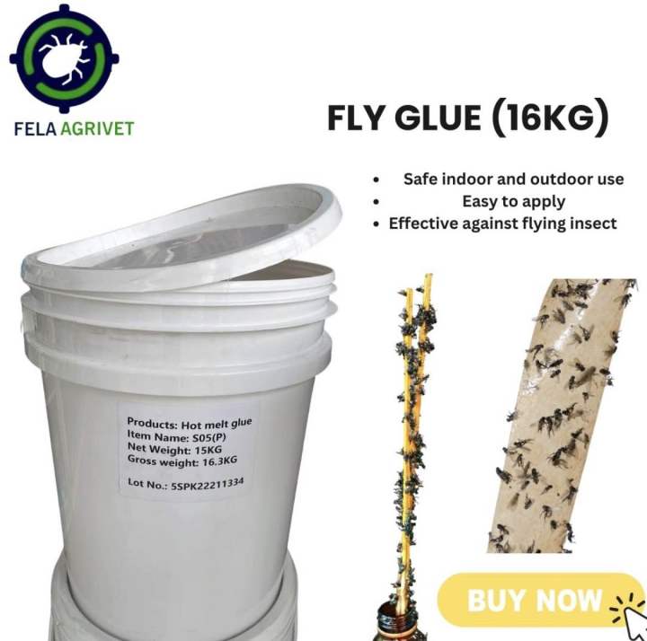 Fly Glue quality | Lazada PH